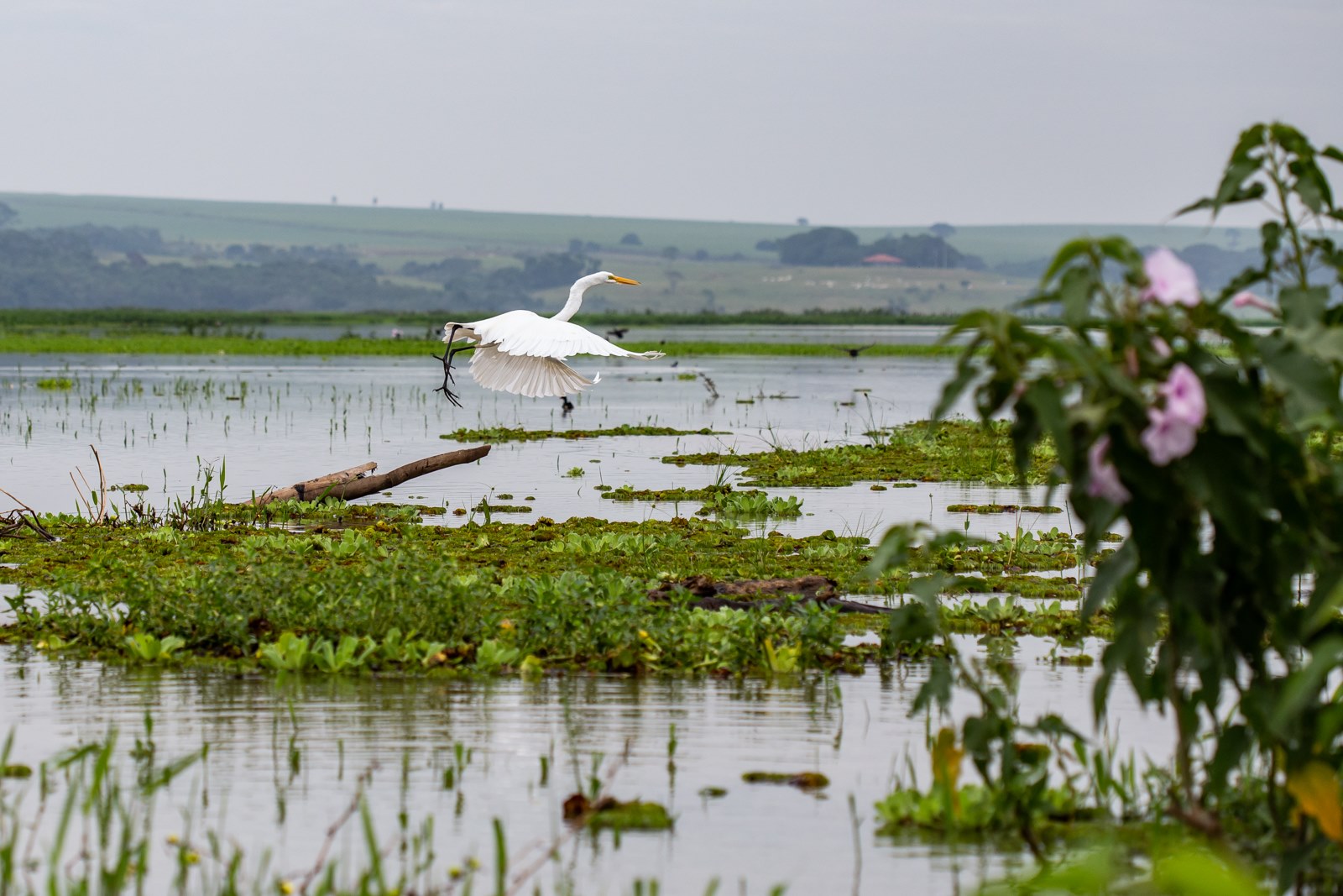 NAS ÁGUAS FÉRTEIS DO TANQUÃ – Nas Nuvens Eco Blog